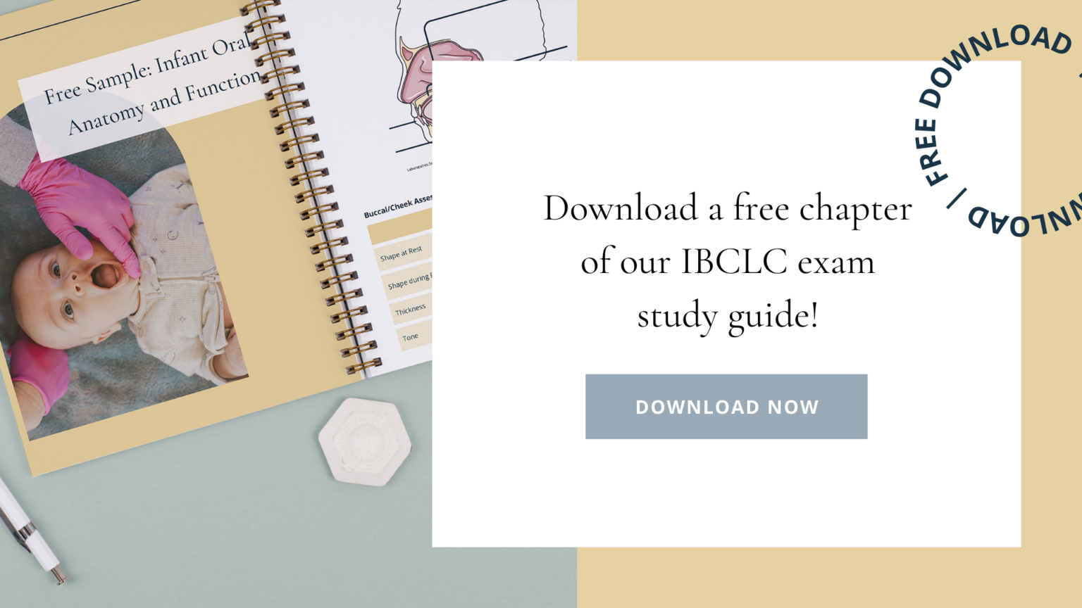 How to Become an IBCLC: The Ultimate Guide